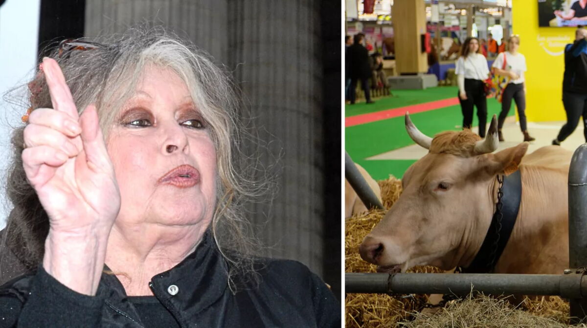 Brigitte Bardot dénonce le comportement des "stars gouvernementales" au ...