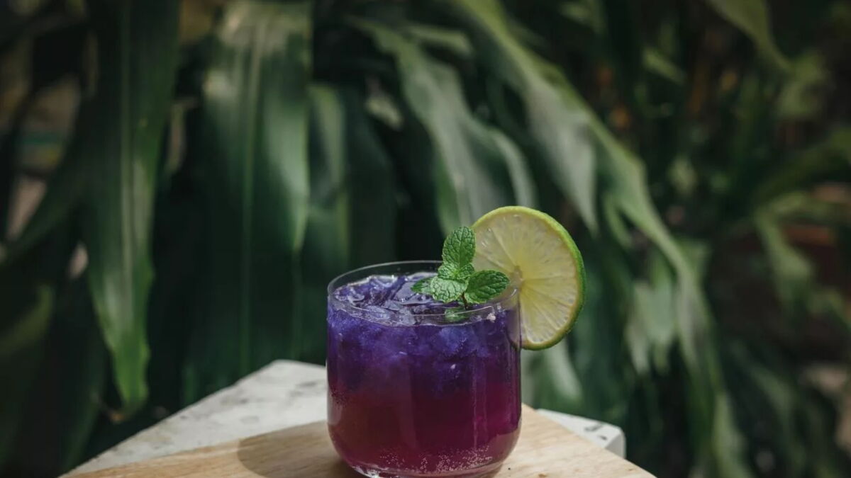 Les 3 meilleurs cocktails à la violette, entre gourmandise et retour en ...