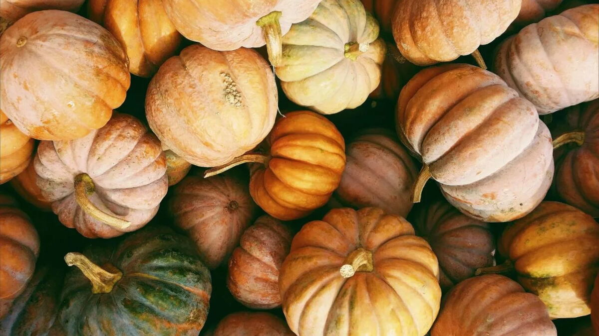 Les 6 recettes réconfortantes à base de citrouille pour l'automne