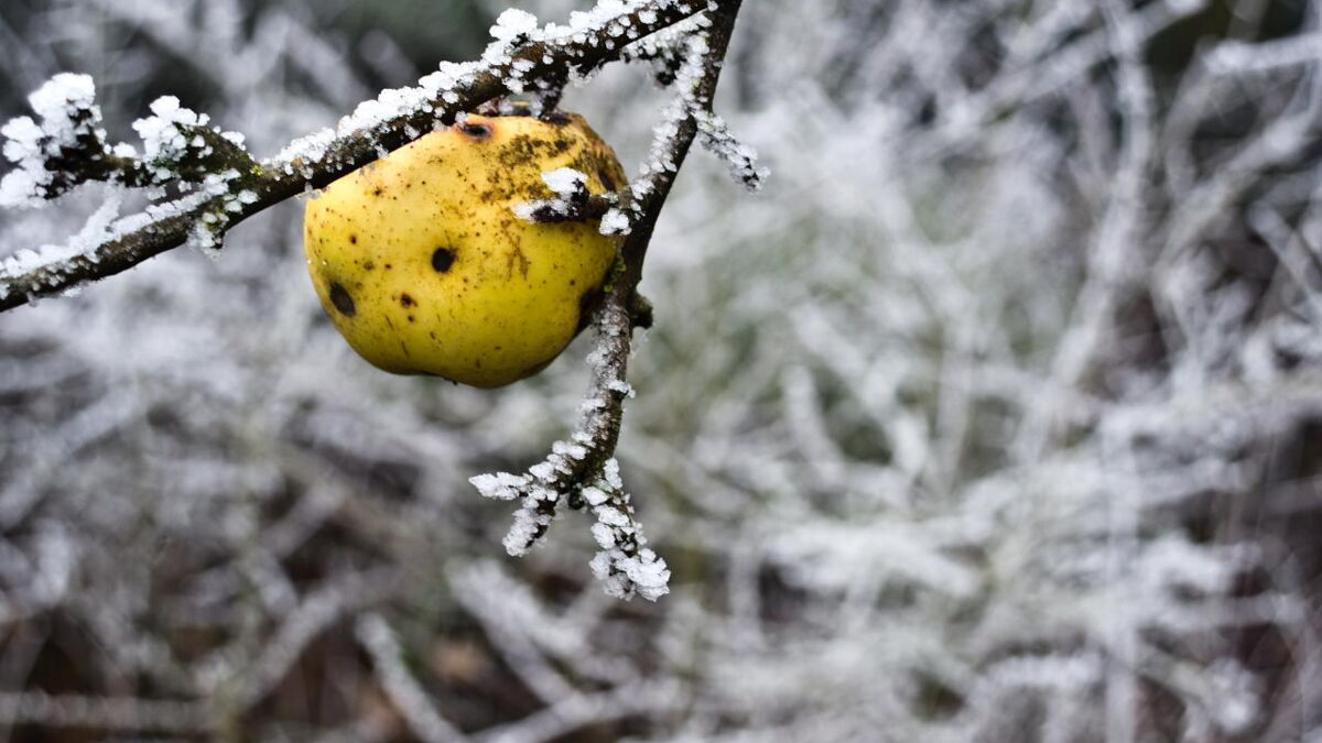Un "froid glacial" va s'abattre sur la France ce week-end, deux tiers ...