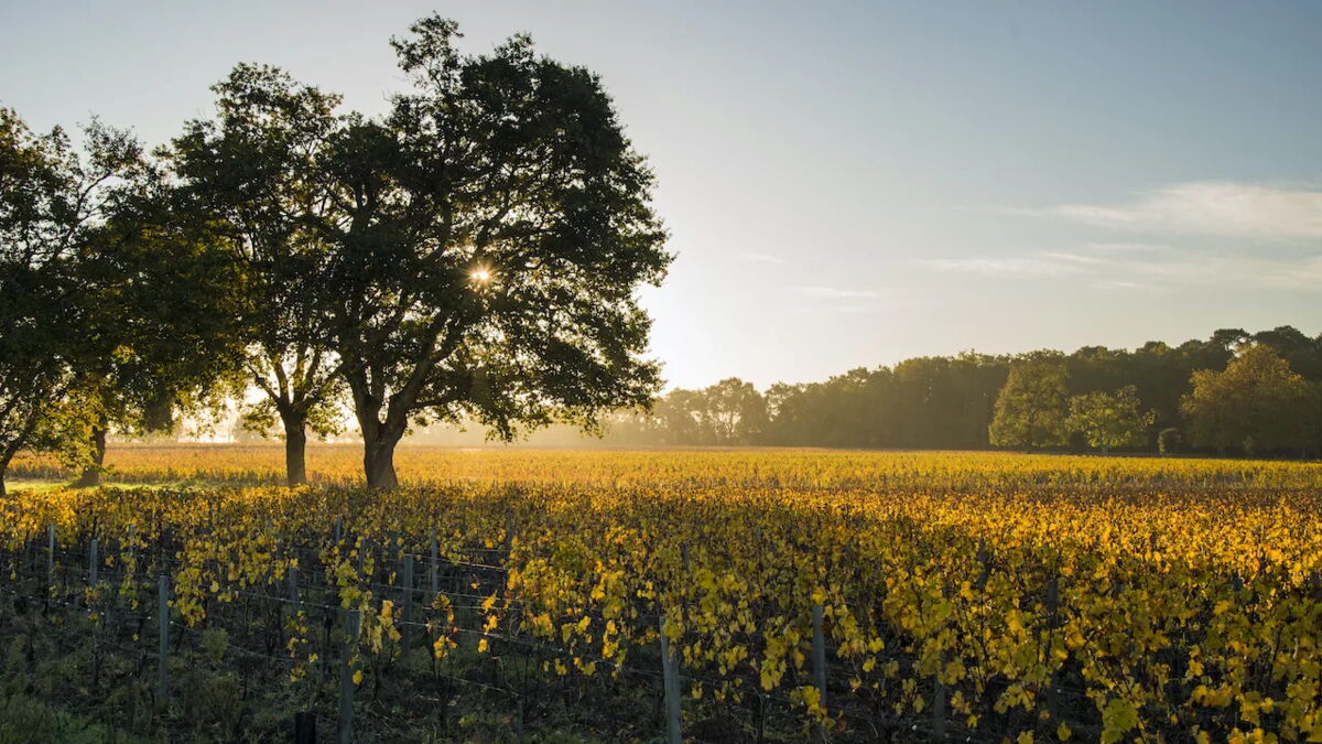 Équinoxe d’automne 2021 : signification et date de début de la saison d ...