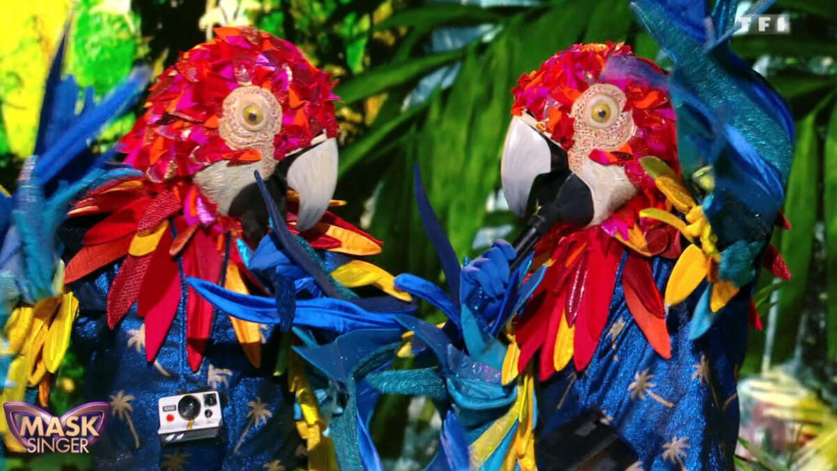 Mask Singer : qui sont les perroquets