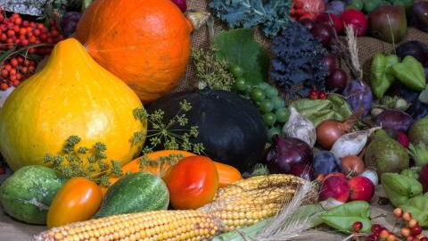 Les fruits et légumes de saison en septembre