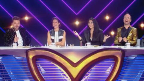 Mask Singer : qui est vraiment le Hibou