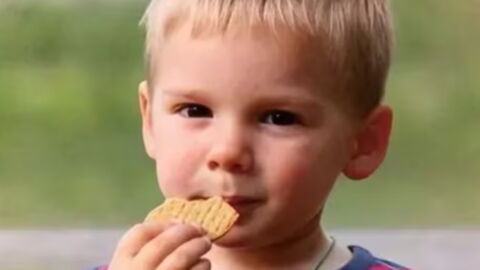 Disparition d’un plongeur en Antarctique : que s’est-il passé sous la ...
