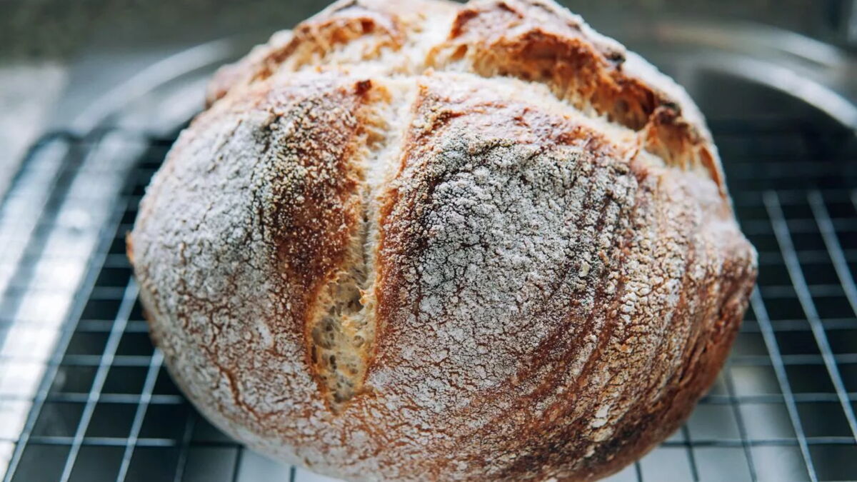 Comment faire du pain maison au robot Lidl Monsieur Cuisine