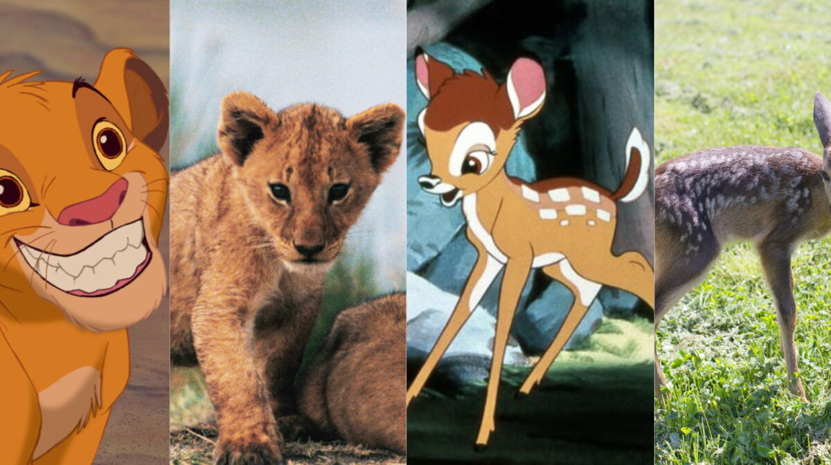 12 animaux Disney qui seraient vraiment différents dans la vraie vie