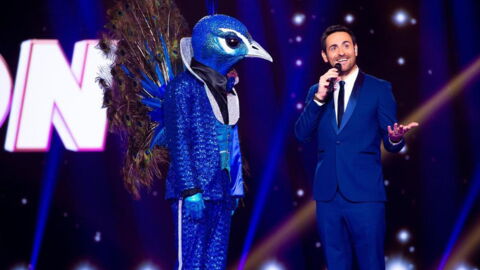 Mask Singer : Qui se cache derrière le costume de l'Aigle