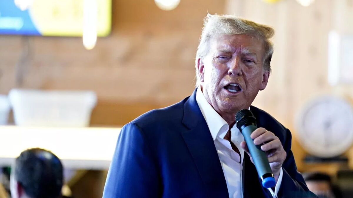 Donald Trump profitiert von seinem Prozess: So könnte sein Polizeifoto ...