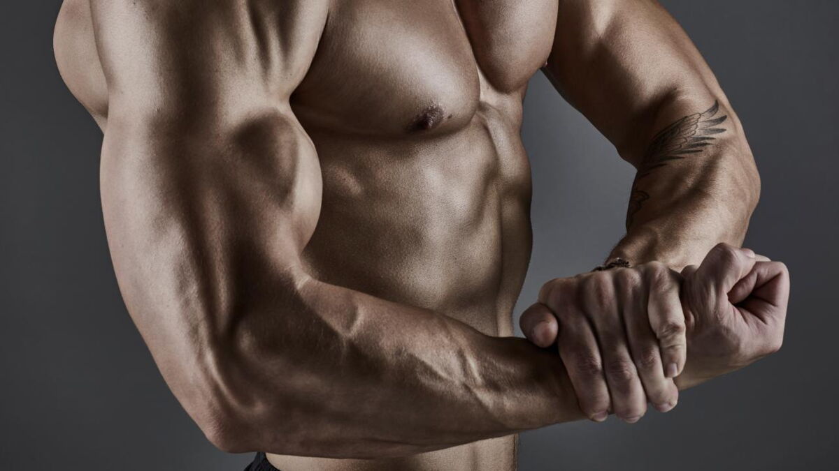 Fotos : Muskelprotze: Das sind die Stars mit den muskulösesten Körpern