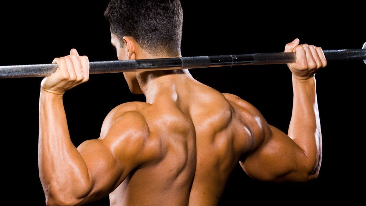 Meilleurs exercices pour se muscler le dos