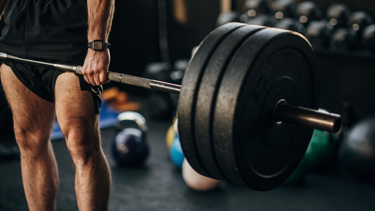 Push Pull Legs 'PPL' : programme complet, exercices et routine