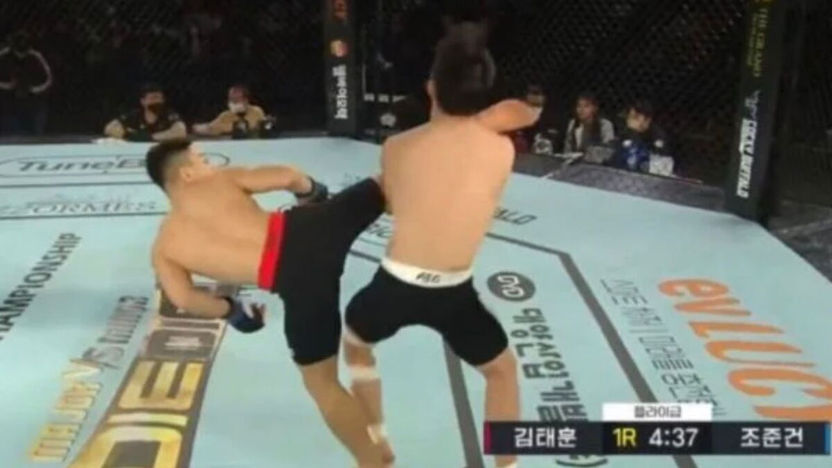 À seulement 16 ans, un petit prodige du MMA claque un énorme KO sur ...