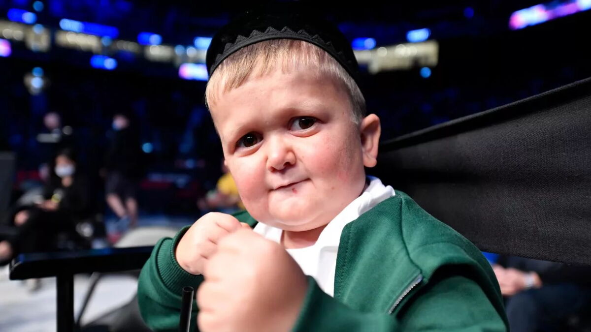 UFC - Hasbulla, alias "Mini-Khabib", arrêté par la police et envoyé en ...