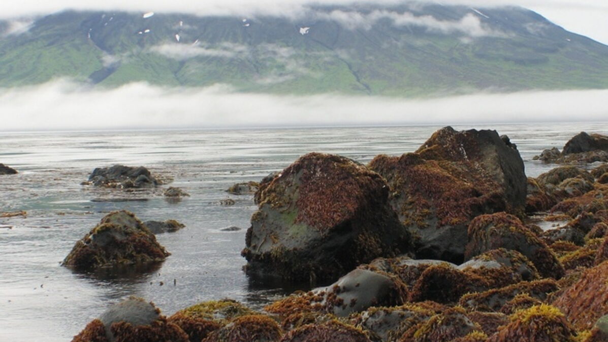 Alaska : le volcan Cleveland s’agite