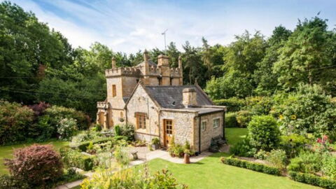 Virginia Caye : cette île dans les Caraïbes est à vendre pour le prix d ...