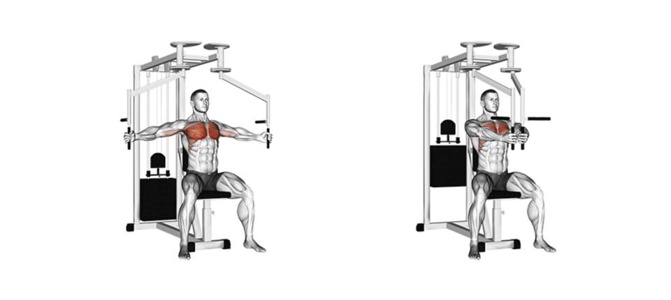 Pec Deck : muscles sollicités, programme et alternative... Tout savoir ...