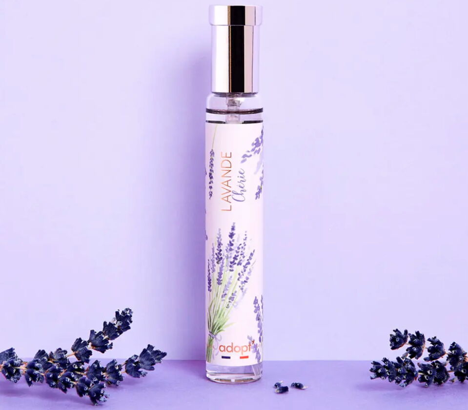 8 parfums à la lavande pour retrouver les sensations de l'été à partir ...