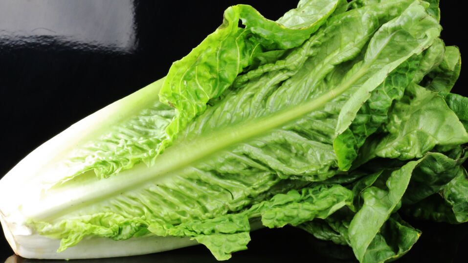 Wendys Romaine Lettuce Could Be Linked To Li Outbreak In The Us