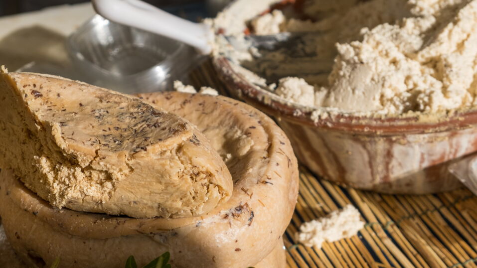 The ‘most dangerous’ cheese in the world is not for the squeamish