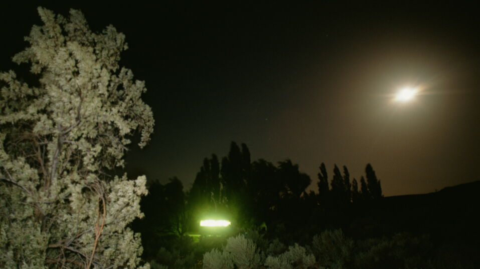 UFOs spotted all over Ukraine’s skies: Harvard astronomer offers ...