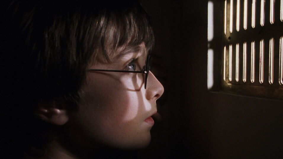 Harry Potter fans astounded as subtitles reveal what Dudley really said ...