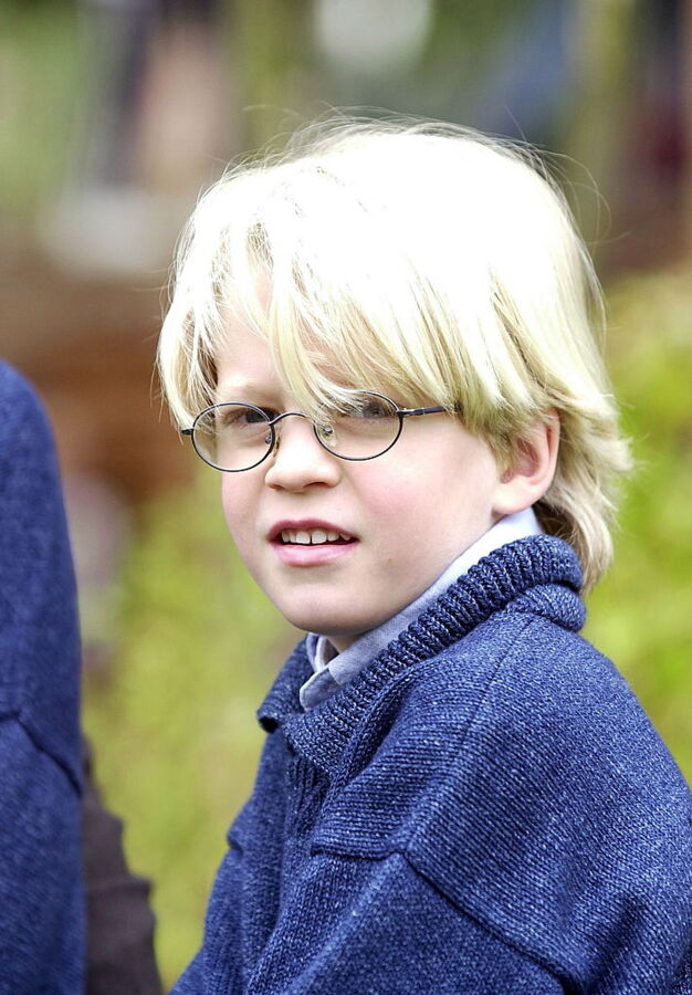 The quiet inheritor: Louis Spencer to take ownership of Princess Diana ...