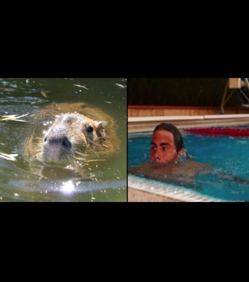 Photos : Rafael Nadal comparé à un... Capybara