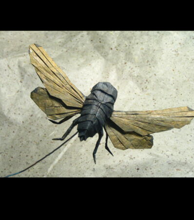 Photos : Découvrez les origamis en forme d'insectes en images