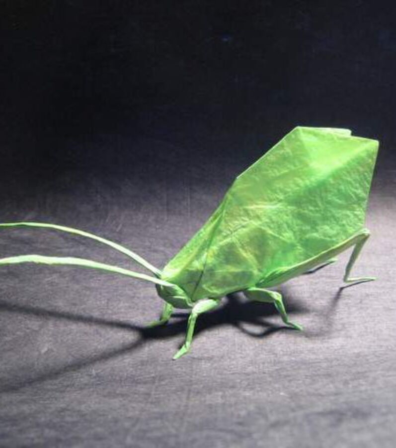 Photos : Découvrez les origamis en forme d'insectes en images