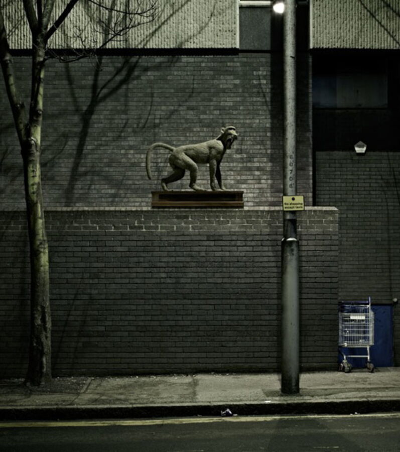 Photos : Découvrez les Crochetdermy de Shauna Richardson en images