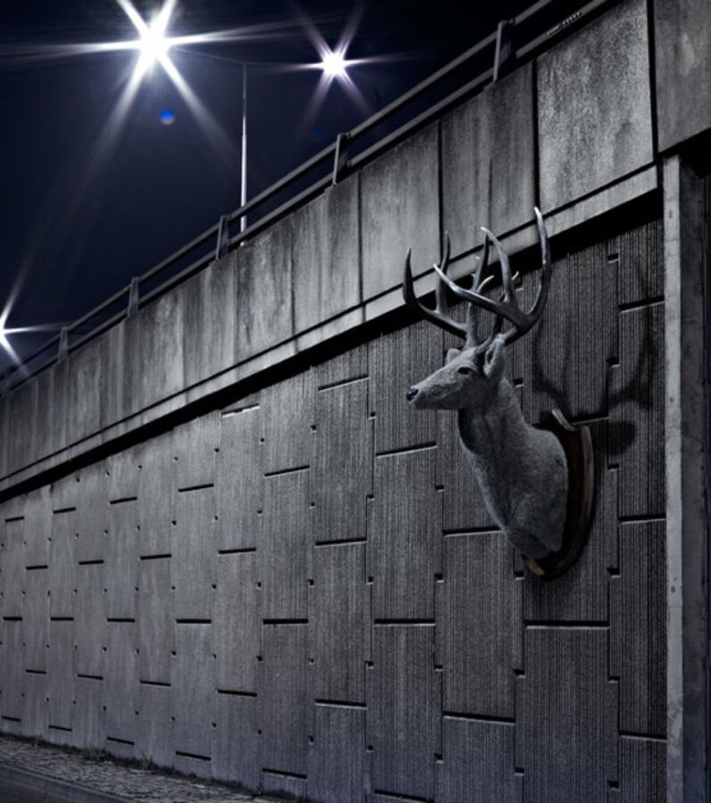 Photos : Découvrez les Crochetdermy de Shauna Richardson en images