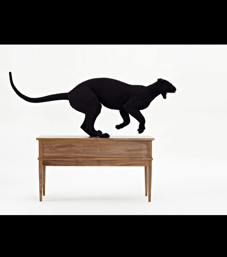 Photos : Découvrez les Crochetdermy de Shauna Richardson en images