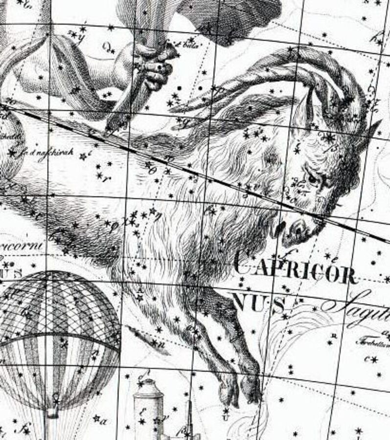 Photos : Découvrez le capricorne : le signe astrologique est aussi un ...