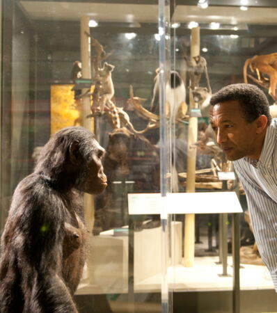 Photos : Lucy relookée : la petite australopithèque "s’humanise"