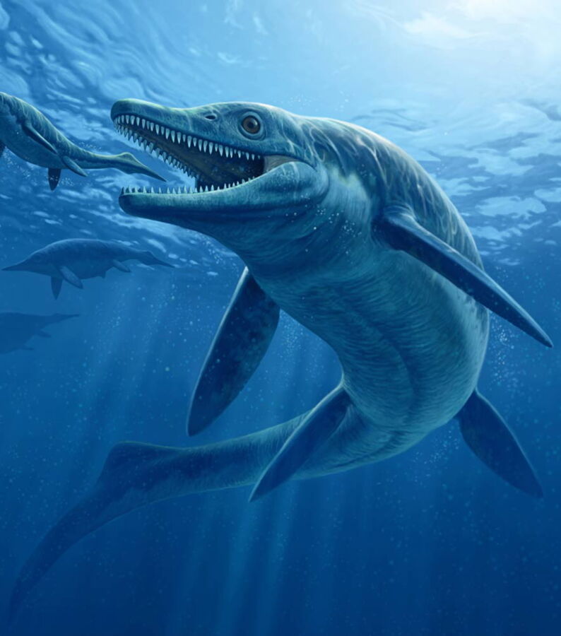 Photos : Le kraken, monstre marin légendaire, aurait-il vraiment existé