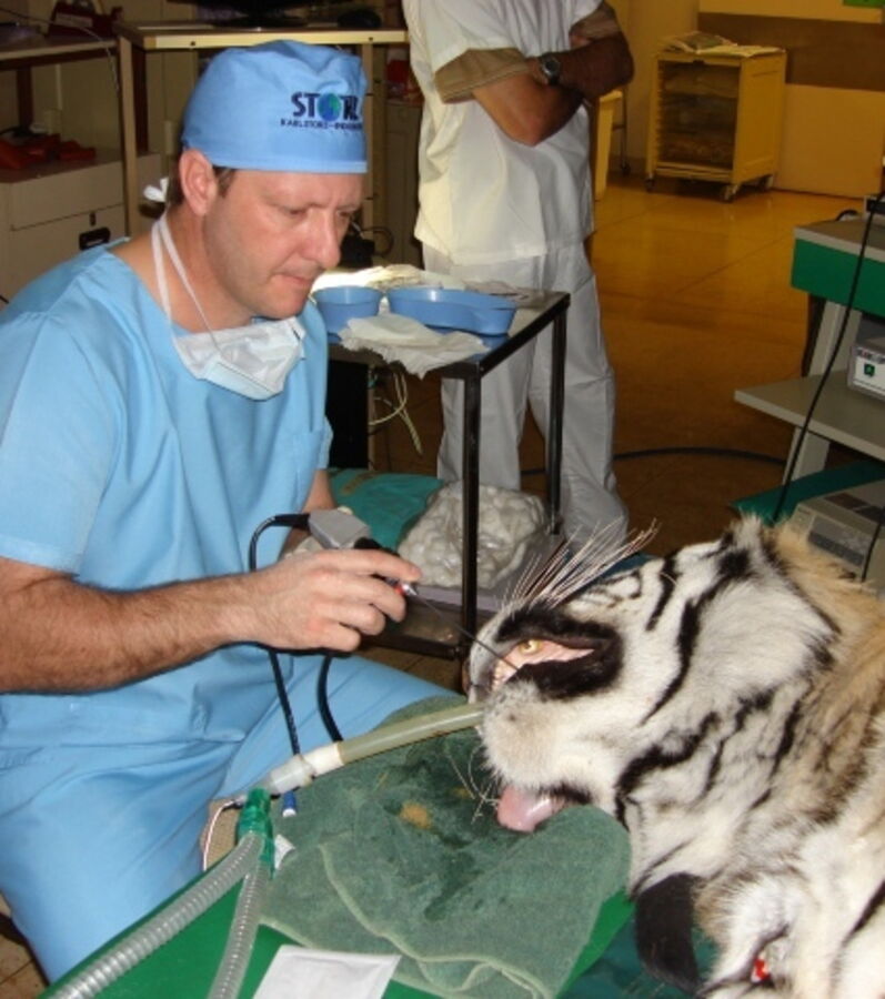 Photos : Gerhard Steenkamp, le dentiste qui parcourt le monde pour ...