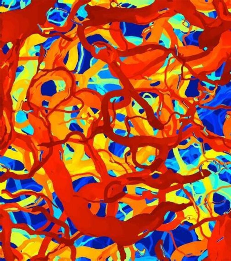 Photos : Art of Science : découvrez les plus belles images issues de la ...