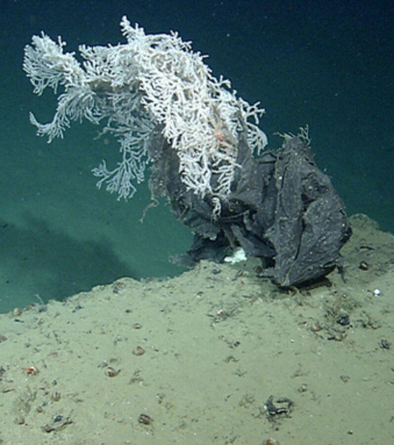 Photos : Pollution des océans : les déchets envahissent les fonds marins