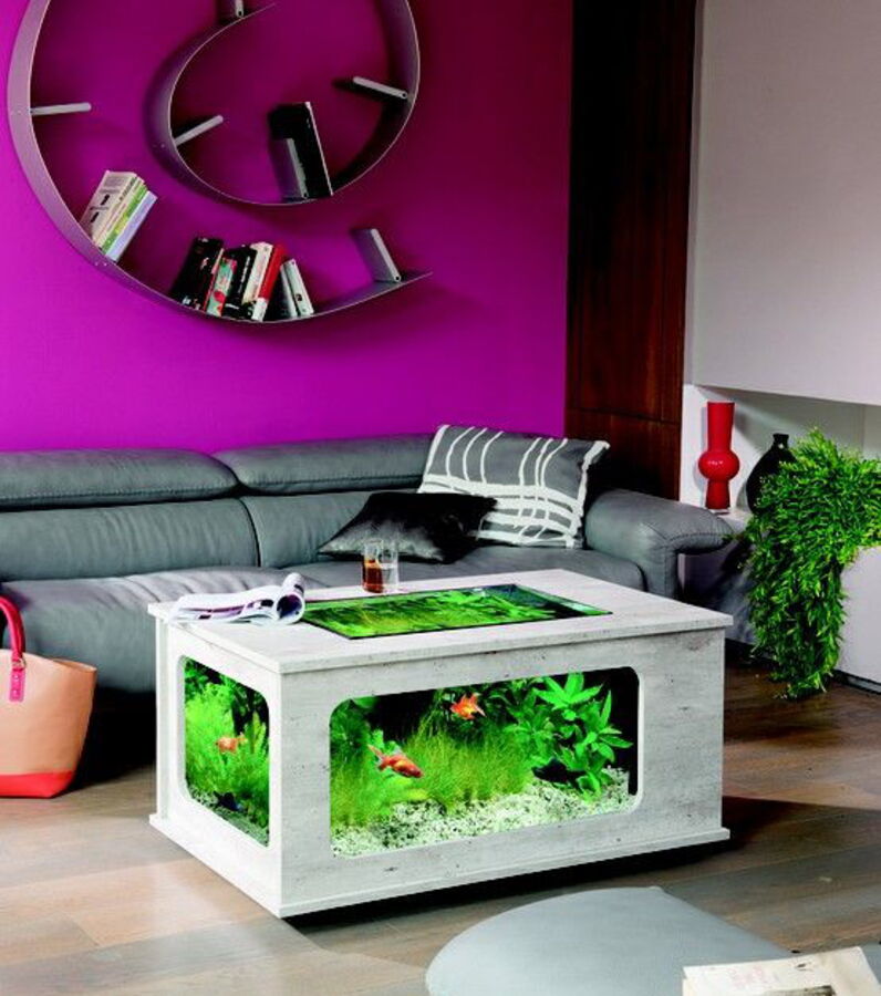 Photos : Choisir une table basse originale pour le salon