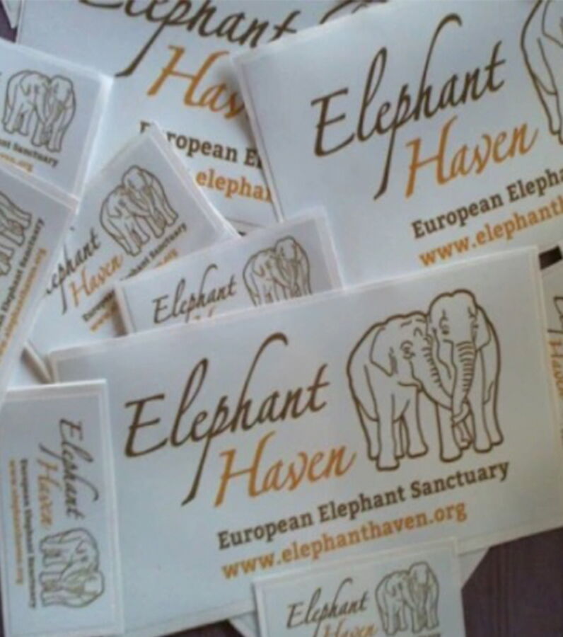 Photos : Voici le couple qui construit le premier sanctuaire pour ...