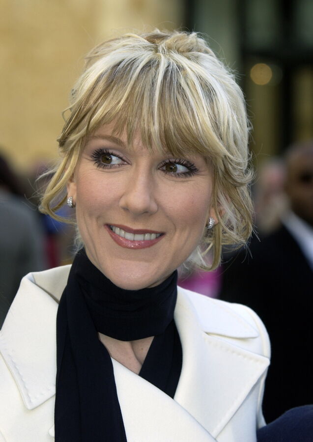 Photos : Céline Dion : son impressionnante évolution physique de 1985 à ...