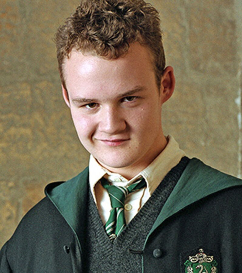 Photos : Harry Potter : 14 anciens élèves de Poudlard qui ont bien ...