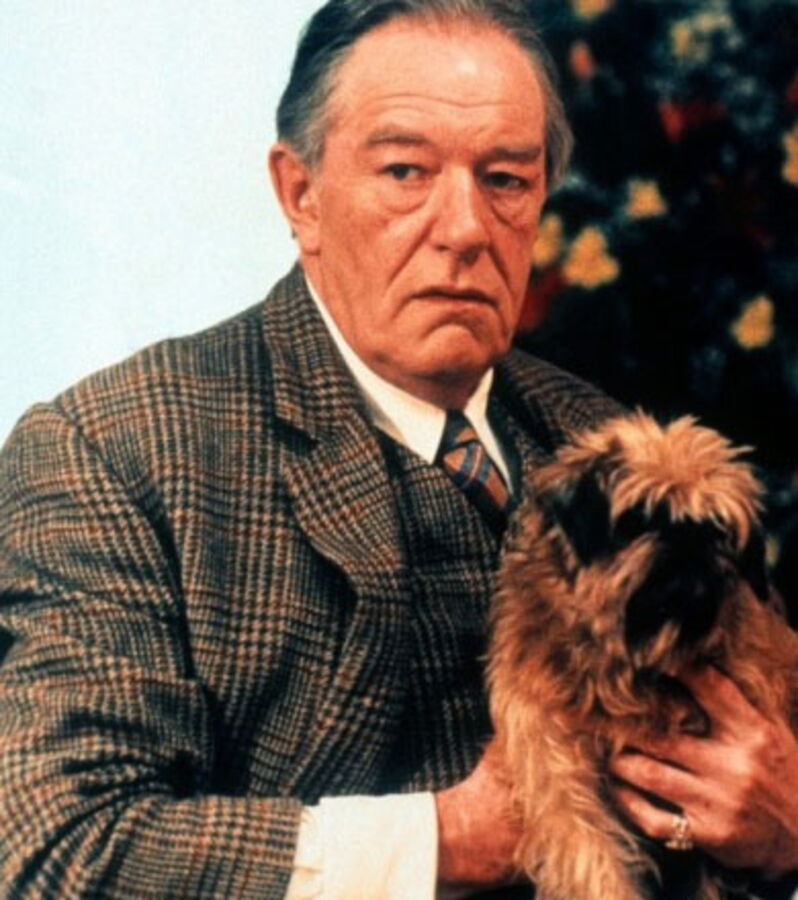 Photos : Gandalf, Scar, Frollo... les meilleures doublures de Jean Piat