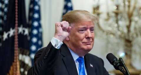 Photos : Donald Trump : découvrez l'évolution physique de l'ancien ...