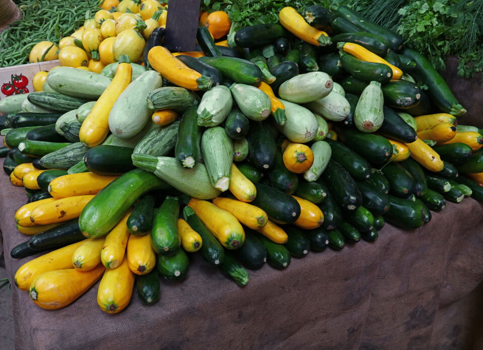 Photos : Quels sont les bienfaits de la courgette