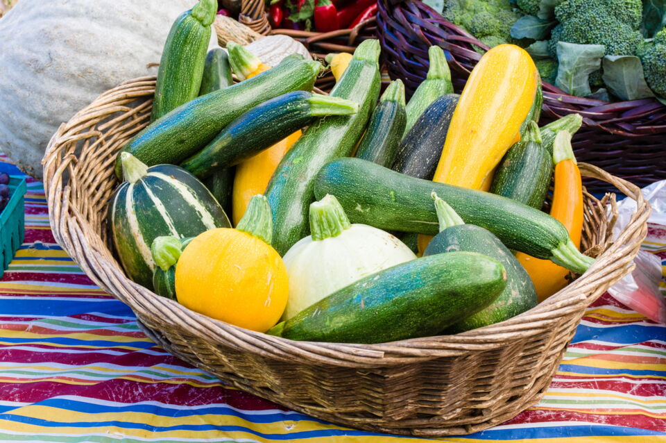 Photos : Quels sont les bienfaits de la courgette