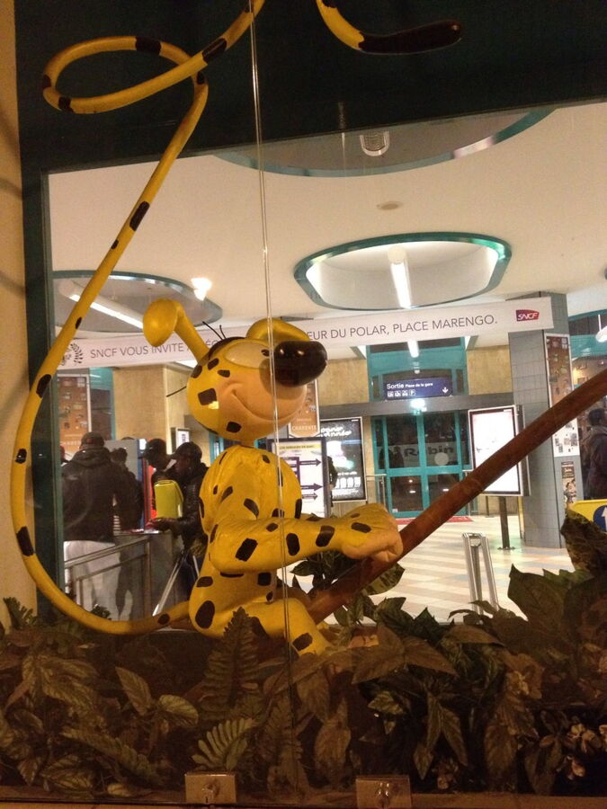 Marsupilami : quels animaux ont inspiré cette espèce fictive